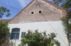 Dobanovci, stara kuća sa velikim placem