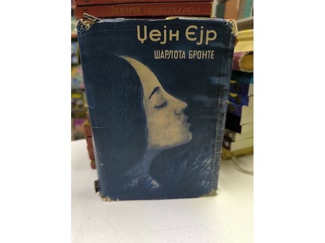 Dzejn Ejr - Sarlota Bronte