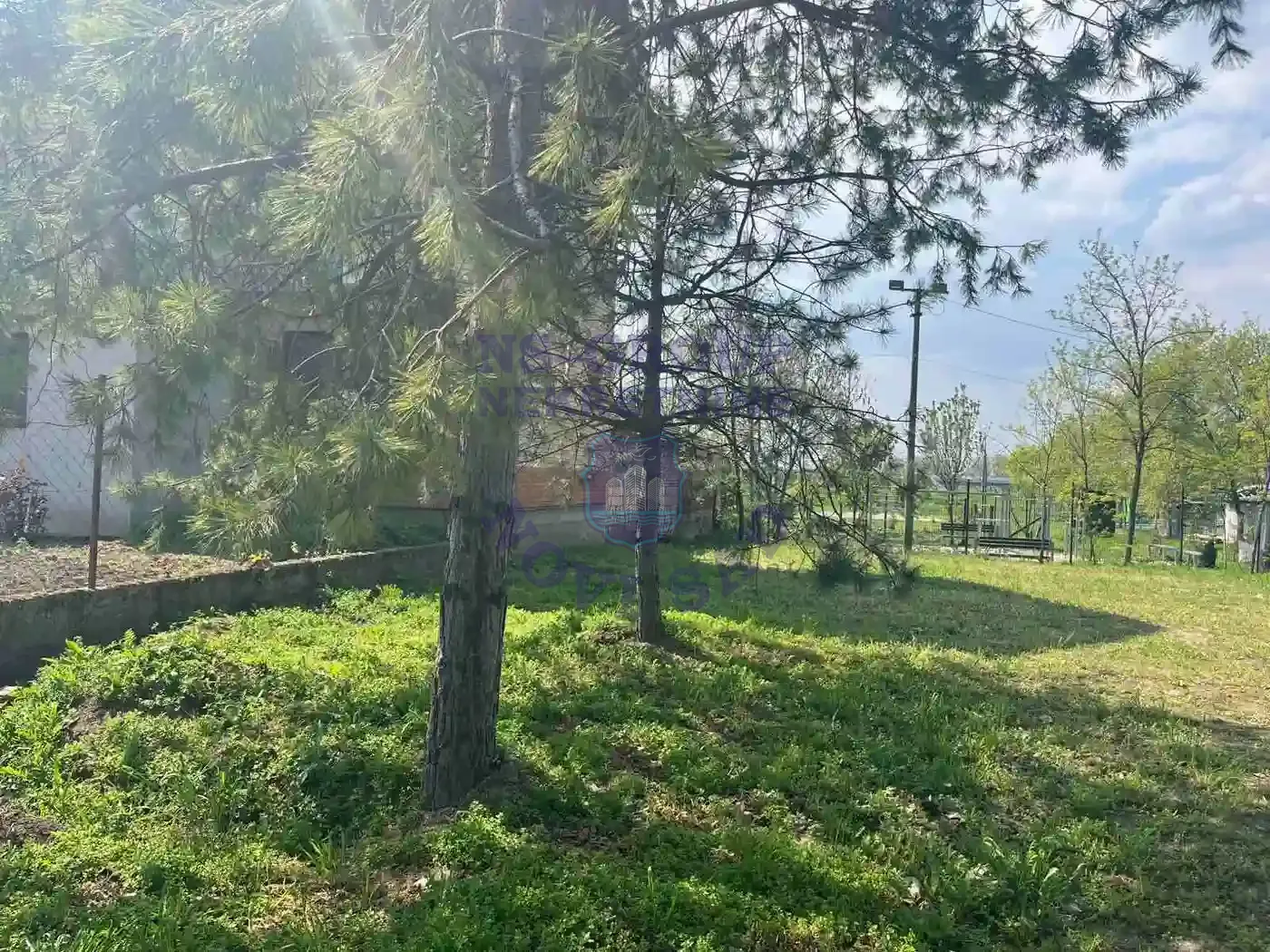 Centar, Zmajevo