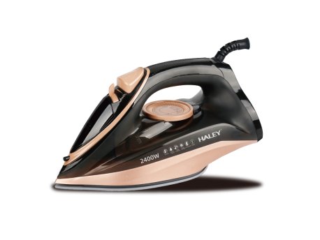 HALEY HY2084 Pegla na paru 2400W