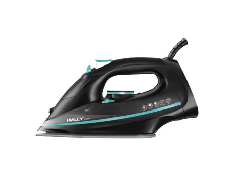 HALEY HY2052 Pegla na paru 2600W
