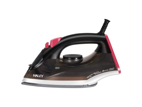 HALEY HY2035 Pegla na paru 2000W
