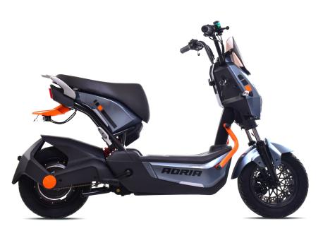 CAPRIOLO Bicikl E-bike E2 RX20 sivi (292027-S)