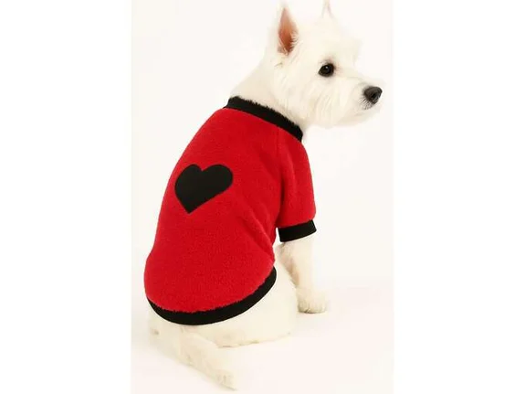 Evila Originals Duks za pse Blackheartsweat