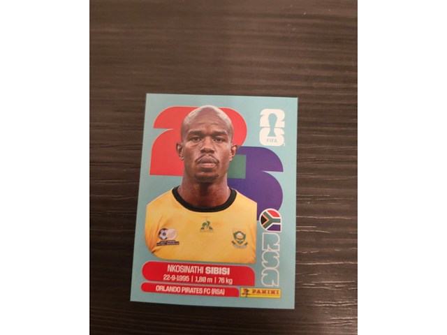 Panini FIFA 2026 USA RSA 10