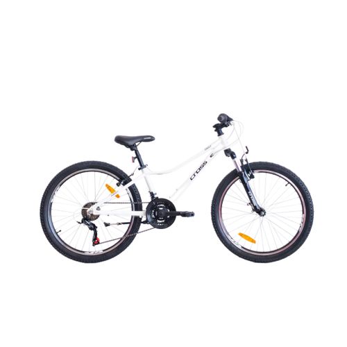 24" CROSS DAISY 2026 / White