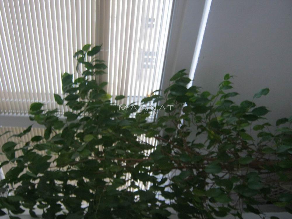 Plac - 120 ari - blizu šetališta ID#5653
2.000.000 €