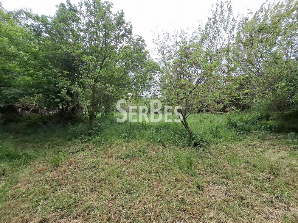 Odličan građevinksi plac 1048m2 u Čereviću ID#1789
52.000 €