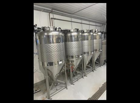 Brevhouse Braumeister 500L