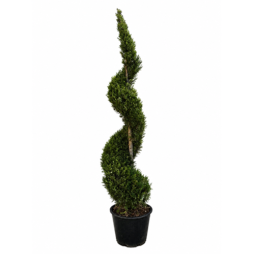 Spirala