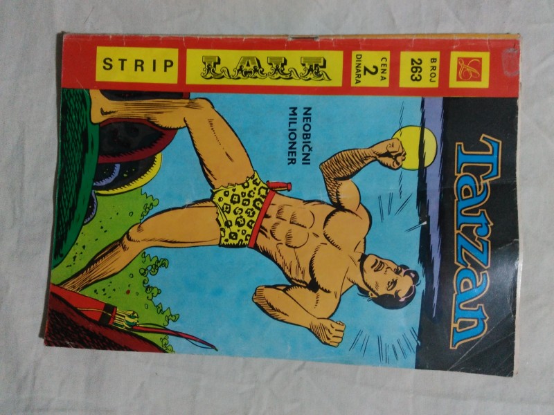 Tarzan Lale broj 263, Neobicni milioner