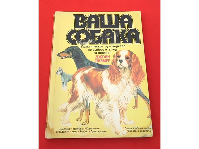 Vaša sobaka