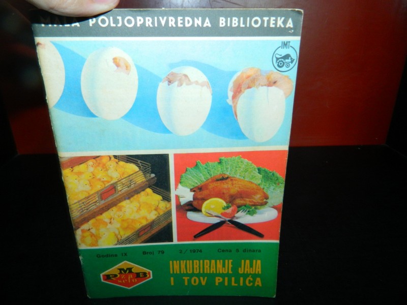 Inkubiranje jaja i tov pilića