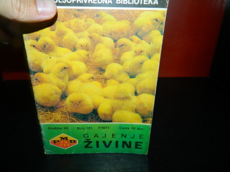 Gajenje živine