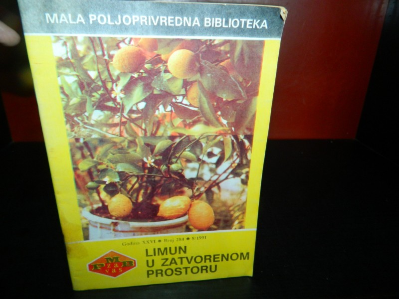 Limun u zatvorenom prostoru