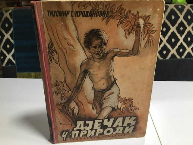 Dječak u prirodi  Tihomir T.prodanović
