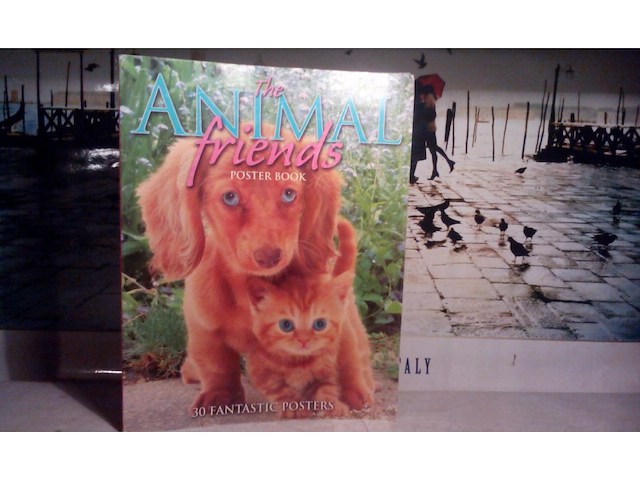The animals friends  poster book