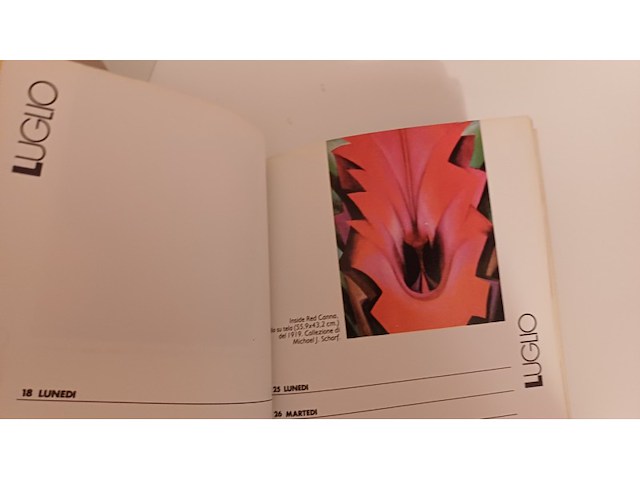 1988 agenda vintidž lep poklon