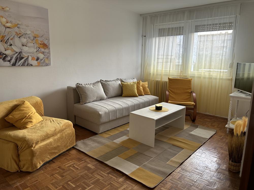 Vojvode Stepe 285, Dvosoban stan za izdavanje, 66m2, 600€