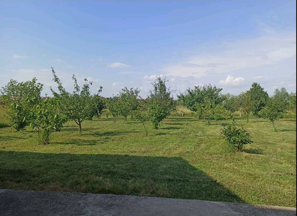 PRODAJA NEKRETNINA PRODAJEM KUCU U VETERNIKU