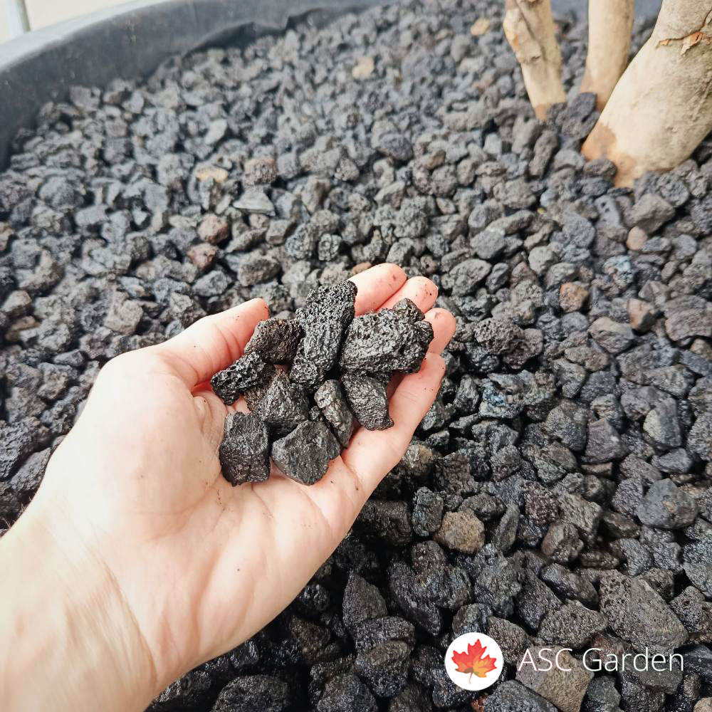 Lava kamen crni 10-20 mm