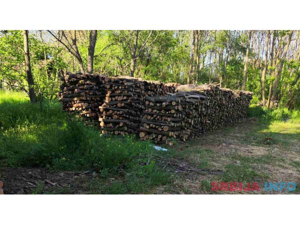 Prodajem ogrevno drvo (bagrem) 140 m3