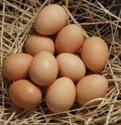 Prodaja domaćih jaja