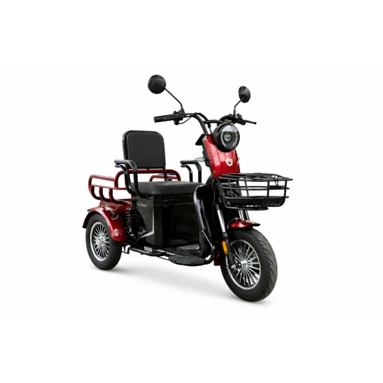 Eb-tricikl veneco bn025 cargo bordo 48v 20ah