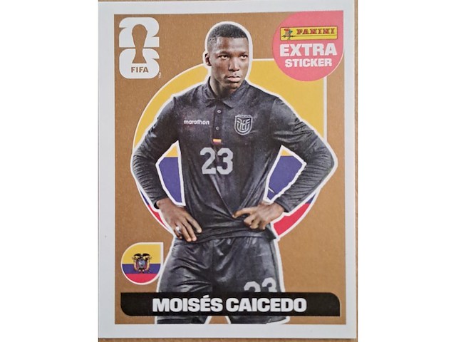 Extra Sticker Panini WC 2026-Moises Caicedo