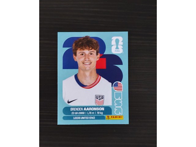 Panini FIFA 2026 USA USA 17