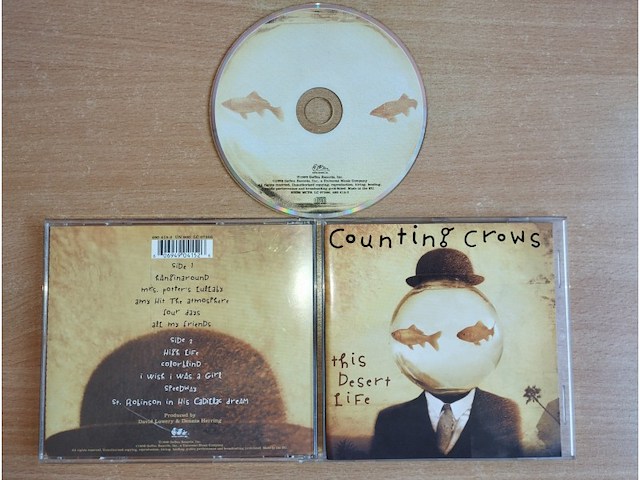 Counting Crows - This Desert Life