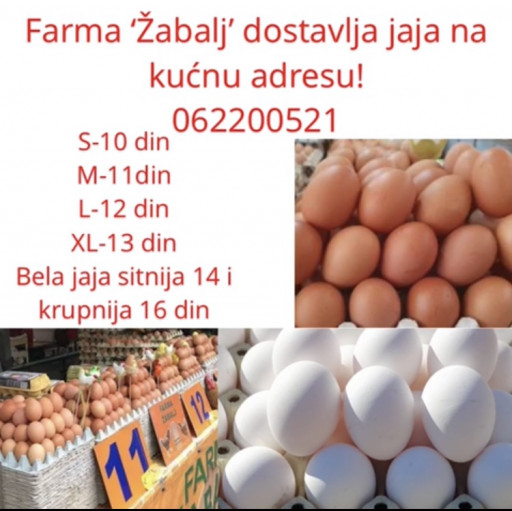 Farma ‘Žabalj’ - prodaja jaja