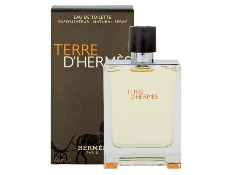 Hermes Terre D Hermes EDT M 100ml
