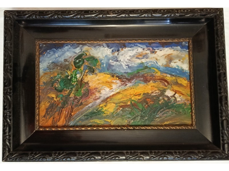 КАЊОШ: de luxe uramljeno 37x54 cm.