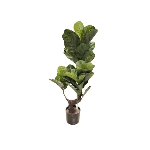 DEKOR DOM Cvet u saksiji - FICUS A1023 - N60