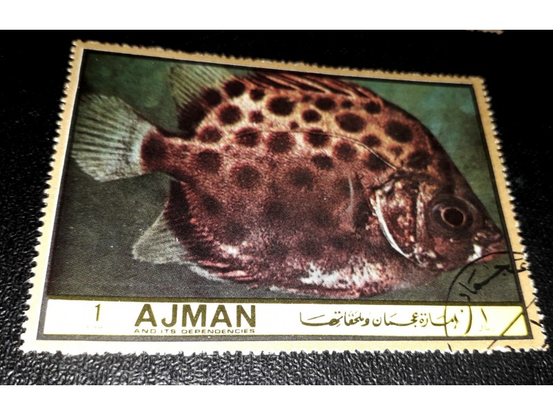 UAE akvaristika