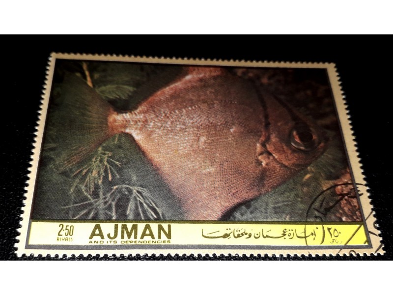UAE akvar.