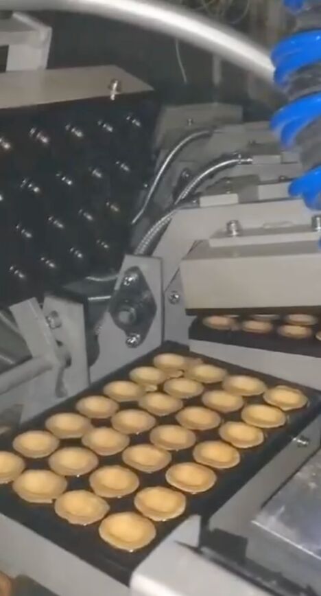 Novi Caterpillar Roundloaf linija za proizvodnju kolačića