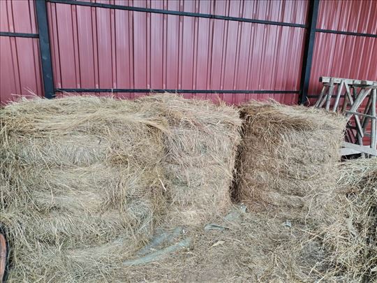 Livadsko seno vece kolicina 250 rol bala