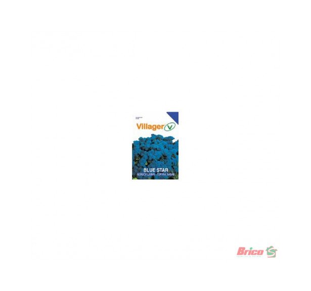 SEME C.GORUCA LJUBAV-BLUE STAR