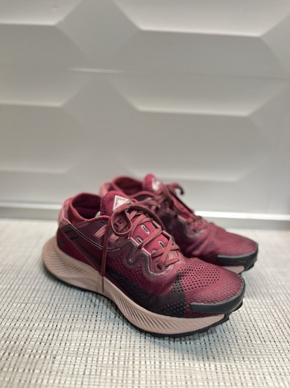 NIKE Pegasus patike za trening
