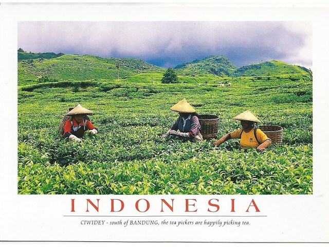 INDONESIA ,nije putovala