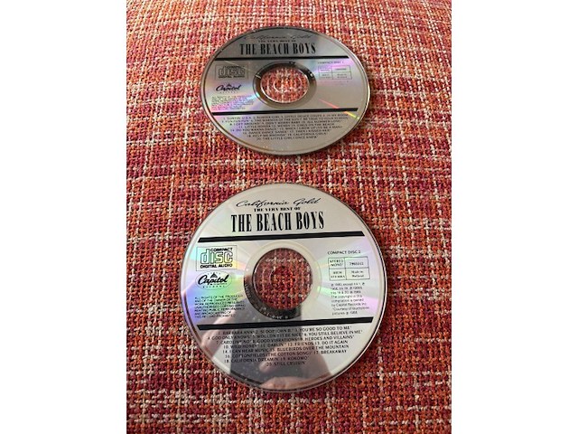 the Beach boys