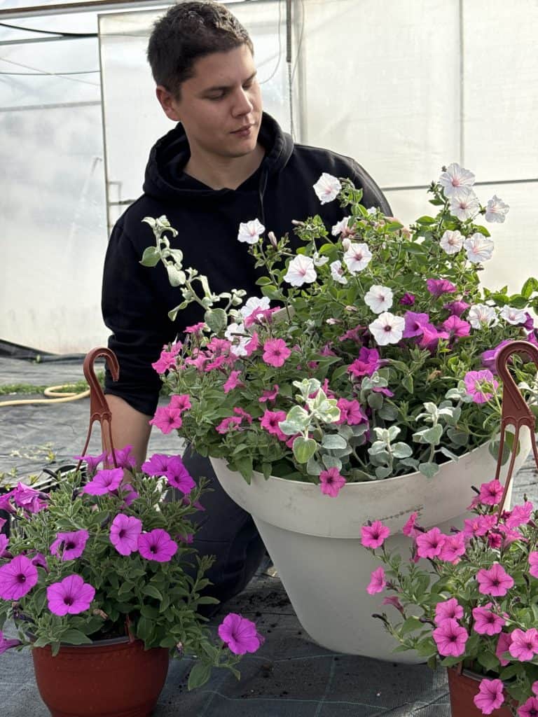 Cvetni roze mix