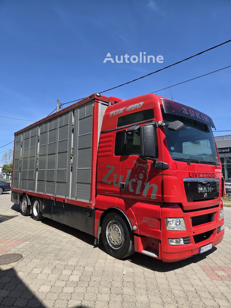 MAN tgx 26.480 menke 3 stock kamion za prevoz stoke