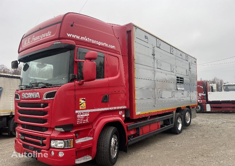 Scania R580 kamion za prevoz stoke
