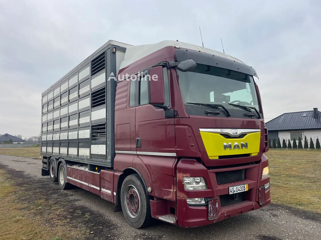 MAN TGX kamion za prevoz stoke