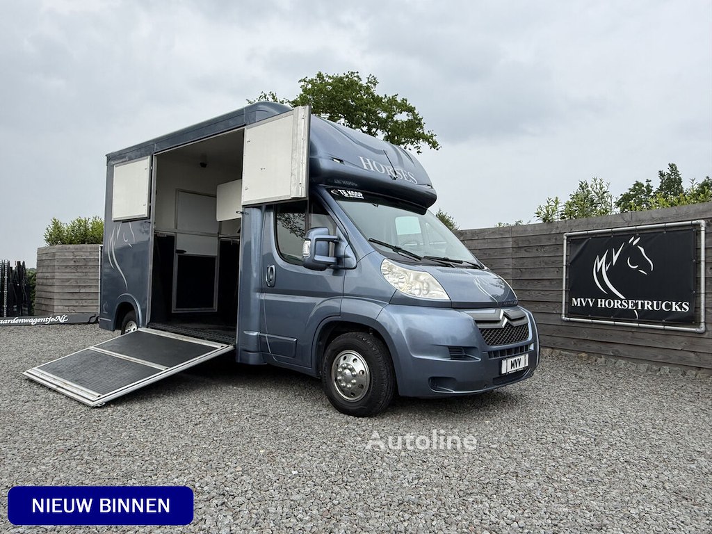 Citroen Jumper | HORSETRUCK | OPBOUW 2023 | COMPETITION 3XL vozilo za prevoz konja