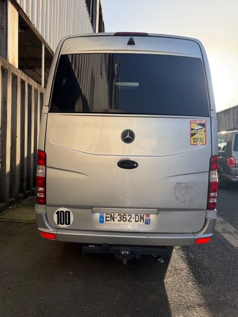 Mercedes-Benz Sprinter 519 putnički minibus