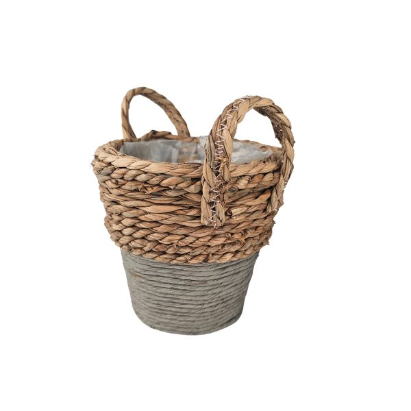 Boho korpa
